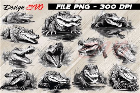 Alligator Vector Clipart Bundle Png Graphic By Design Svg · Creative