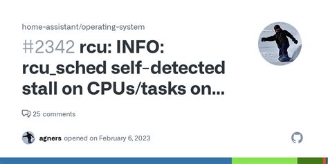 Rcu INFO Rcu Sched Self Detected Stall On CPUs Tasks On Proxmux Issue Home Assistant