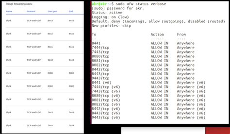 How To Setup My Blynk Local Server So That I Can Use It From Out Side My Local Network Solved