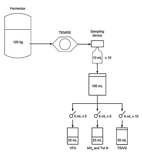 Diagram Of Sampling And Mass Reduction Aprimary Sampling
