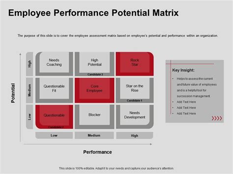 Employee Performance Potential Matrix Development Ppt 9 Box Grid