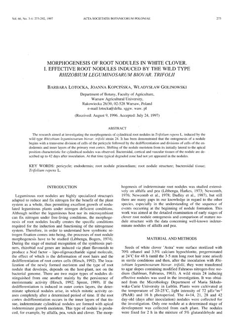 Pdf Morphogenesis Of Root Nodules In White Clover I Effective Root Nodules Induced By The