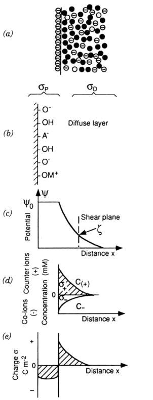 1 3 1 1 the diffuse double layer after stumm and morgan 1996 the