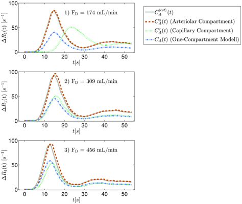 Examples Of Correction Of The Arterial Input Function AIF Examples