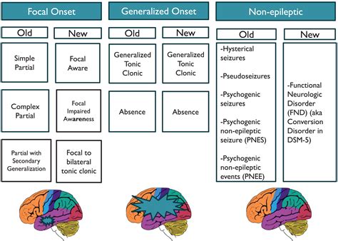 Epilepsy And Neuropsychology Neurologic Clinics