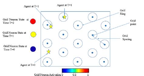 Grid Neuron Activation Download Scientific Diagram