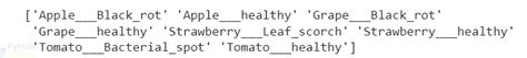 Python Opencv Leaf Disease Detection Safeguard Your Green Haven