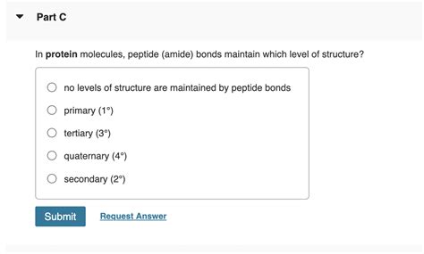 Solved In Protein Molecules Peptide Amide Bonds Maintain