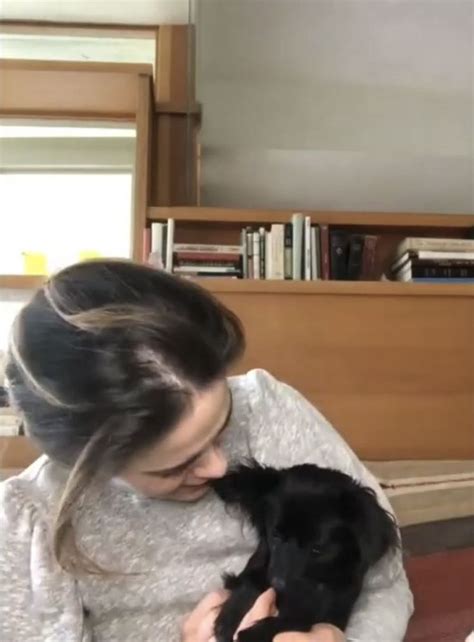 Sarah P Pinterestgabriela G M