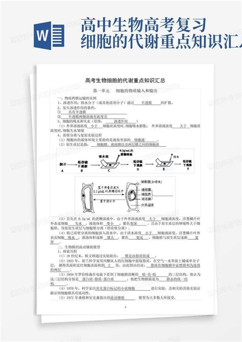 高中生物高考复习细胞的代谢重点知识汇总word模板下载 编号qemxyjok 熊猫办公