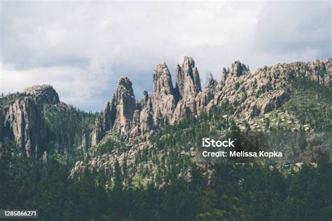 바늘 고속도로 사우스 다코타를 따라 커스터 주립 공원에서 아름다운 첨탑 암석 형성 0명에 대한 스톡 사진 및 기타 이미지 0명 경관 관광 Istock