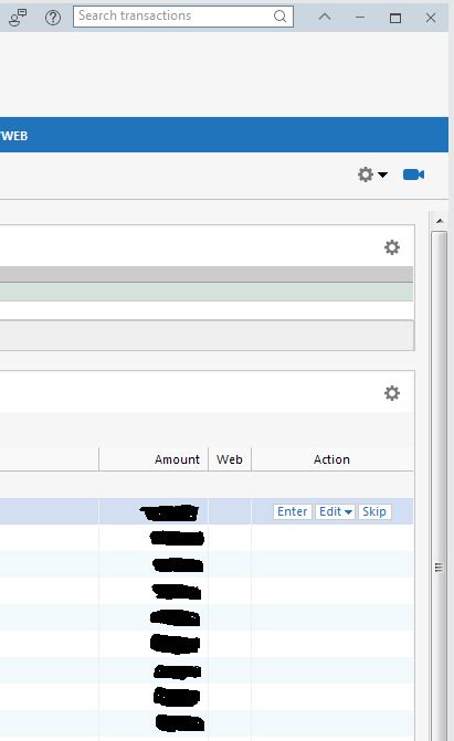 Application Window Rendered Incorrectly — Quicken