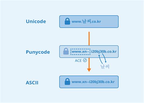 Ascii Unicode Punycode Nedir Punycode Saldırıları Unicode Homograph By Miraç Kaya Medium