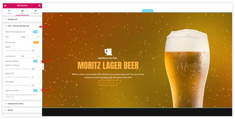 Introducing Dainty Particle Backgrounds For Elementor