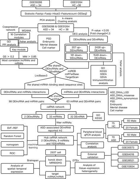 Flowchart Of The Overall Approach Asd Autism Spectrum Disorder De Download Scientific Diagram