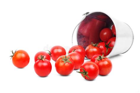 Raw Ripe Tomatoes Stock Image Image Of Round Nutrition 43725683