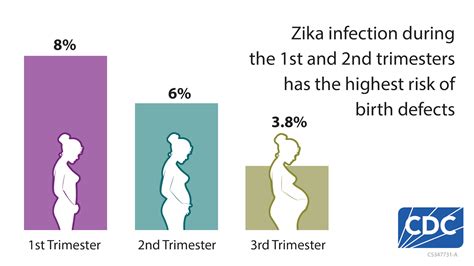 Congenital Zika Syndrome And Other Birth Defects Zika Virus Cdc