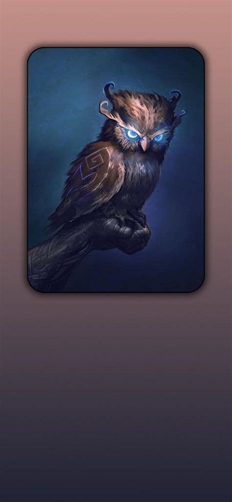 Owl Mobile Wallpapers Top Free Owl Mobile Backgrounds Wallpaperaccess