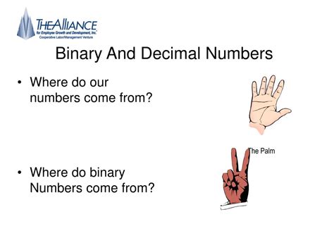 Ppt Ip Addressing Fundamentals Binary Decimal And Subnetting