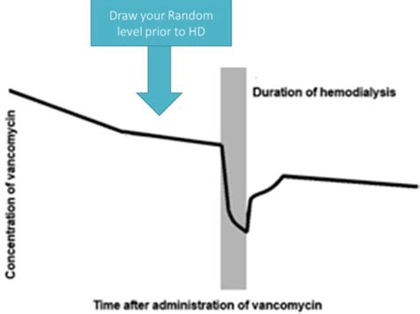 Clinical Pharmacokinetics Exam 2 Vancomycin Dose Adjustments Part 2
