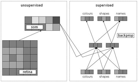 The Network Architecture Download Scientific Diagram