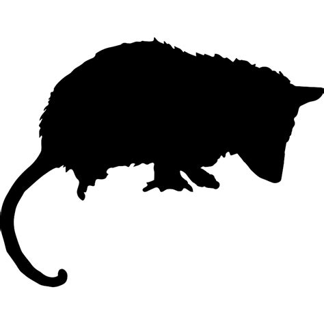 Opossum Mammal Animal Silhouette Vector Svg Icon Svg Repo