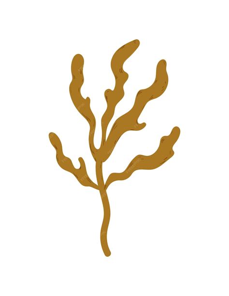 Premium Vector Algae