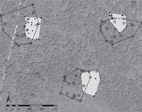 2 An Example Of Overlapping Spot Mapped Light Gray And Download Scientific Diagram