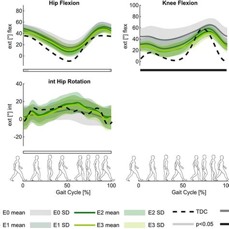 Spm Results For The Sagittal And Transversal Joint And Pelvic Angles Download Scientific