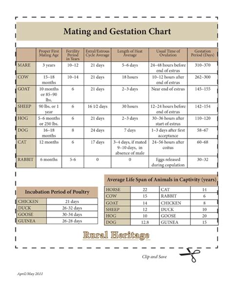 Mating And Gestation Chart Rural Heritage