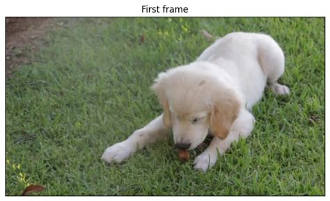 Torchcodec 用于 Pytorch 的视频解码库 幂简集成