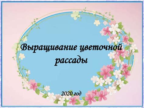 Выращивание цветочной рассады презентация онлайн