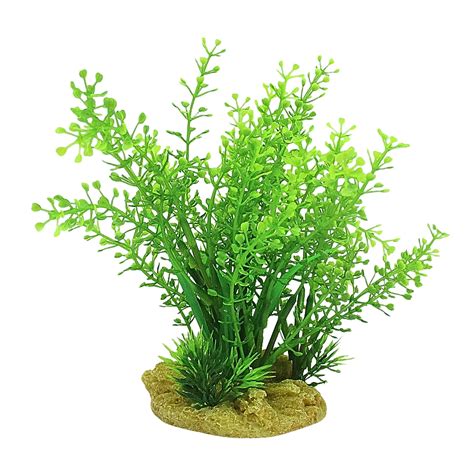 Vivarium Plant Seaspray Greenery For Reptile Terrariums Au