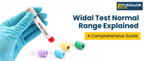 Widal Test Normal Range Explained A Comprehensive Guide