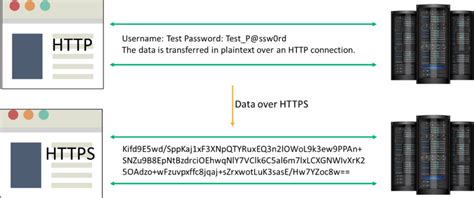 Port 443 — Everything You Need To Know About 443 Infosec Insights