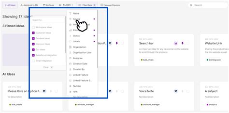 filtering functionality in idea box chisel help