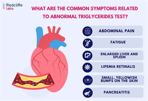Triglycerides Test Price Purpose Range Preparation 2025