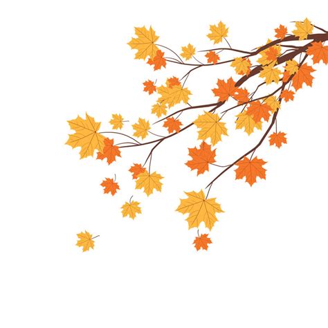 Autumn Yellow Maple Leaves Falling Moving Picture  Aep Png Images