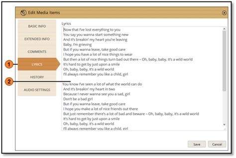 Wui Media Information Editor Lyrics Spacial Technical And Sales Support