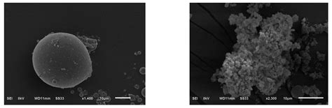 Ijerph Free Full Text Preparation And Characterization Of A Novel Amidoxime Modified