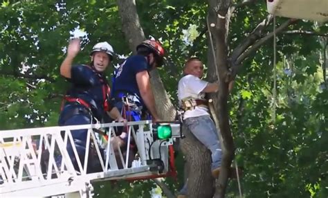 Firefighters Rescue Man Who Climbed Tree To Rescue Cat Free Beer And Hot Wings
