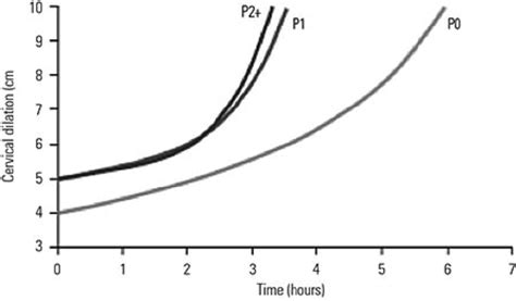 Average Labor Curves From Zhang Et Al [63] Download Scientific Diagram