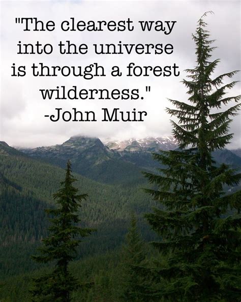 The Clearest Way Into The Universe Is Through A Forest Wilderness