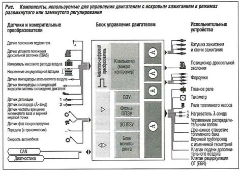 Системы управления бензиновым двигателем | Автомобильный справочник