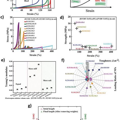 Nae Eung Lee Professor Full Phd Sungkyunkwan University Seoul