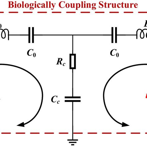 The Circuit Designed To Implement The Biologically Inspired Coupling Download Scientific
