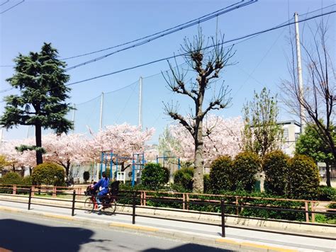 東成区：東中本エリア スーパー町内会活動
