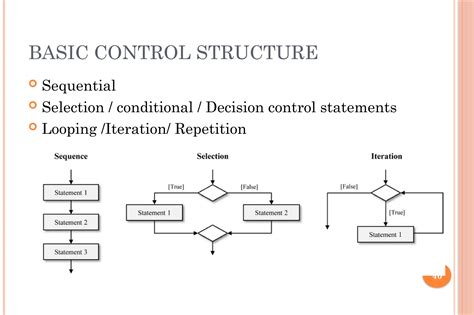 Introduction To Computing And Programming Ppt