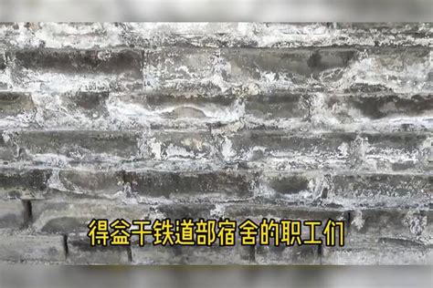 东便门仅存的那段原汁原味明城墙是铁道部宿舍的住户保护了它天天正能量最美家乡人公益征文 明城墙 住户 保护
