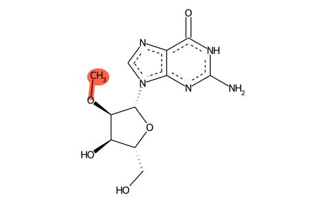 Modomics A Database Of RNA Modifications